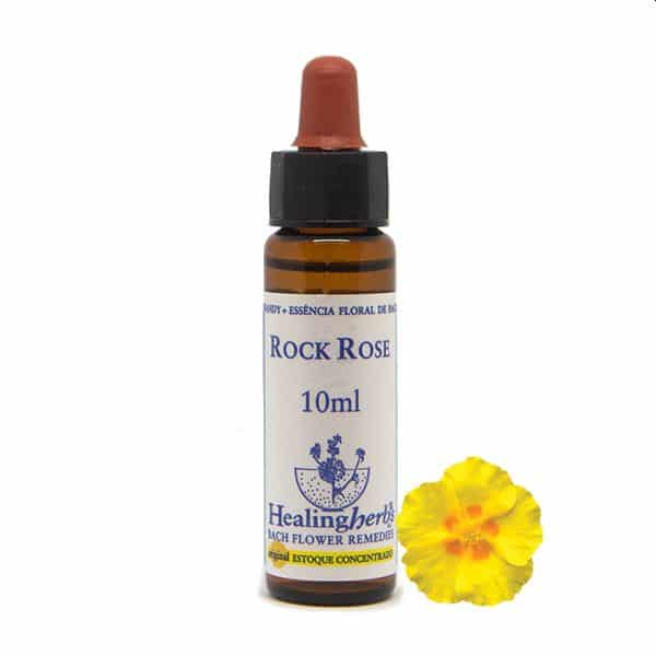 Rock Rose Healing Herbs- 10mL - O Alquimista